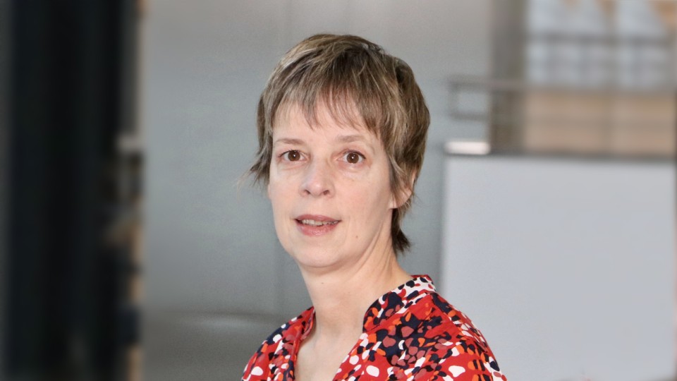 Die Antragstellung der LBBW-Stiftung